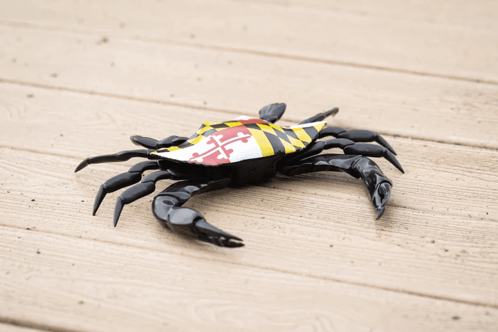 Jimmy Crab